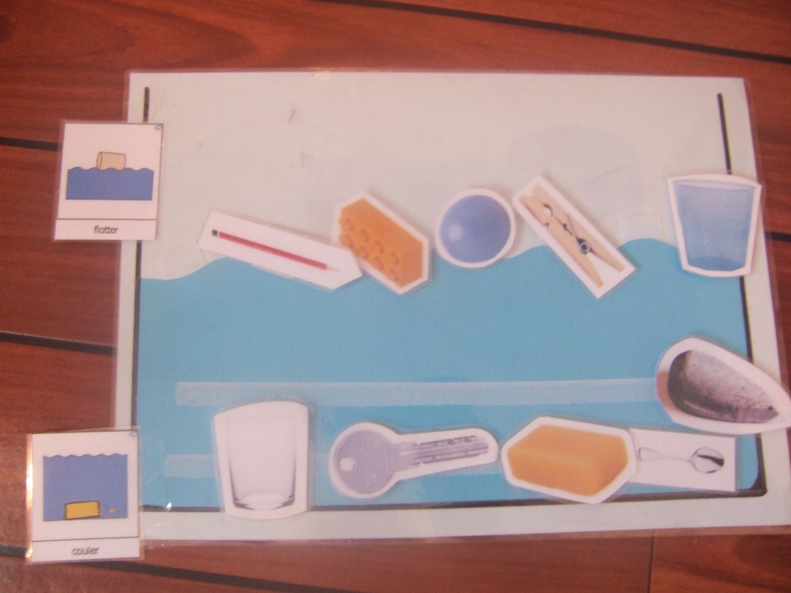 flotte ou coule : première expérience...scientifique ! - Donne-moi ta main