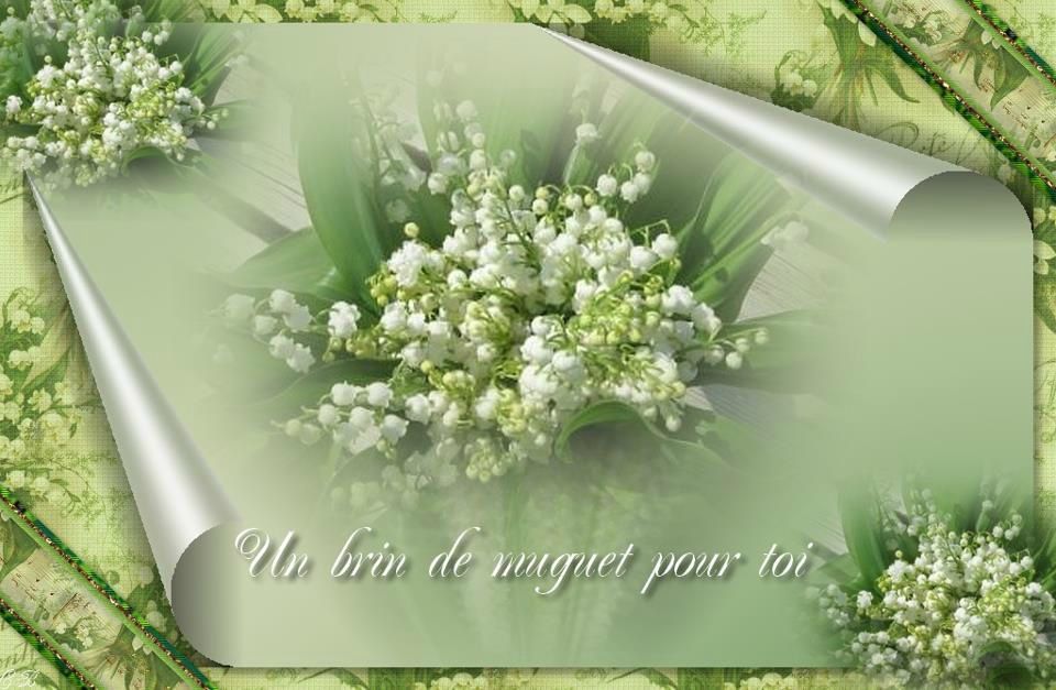 Bonne fête du muguet - Amis du Jardinier de Dieu