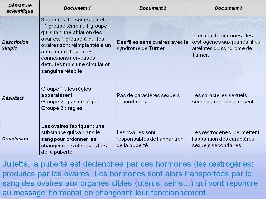 Svt 4ème Schéma Fonctionnel Du Déclenchement De La Puberté | Chtoby Pomnili