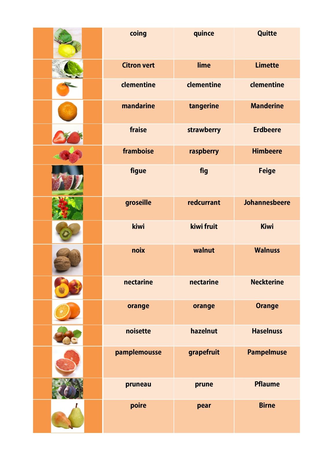 Lexique Fruits et legumes /Word list of fruit and vegetables ...