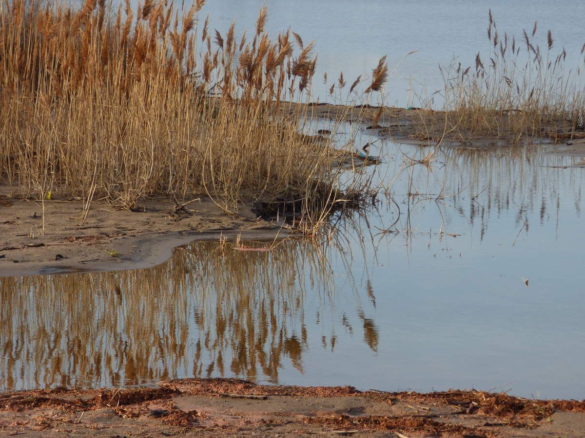 Le blog de bernadette G - Une présentation de mes créations, de mes passions, de ce qui illumine ...