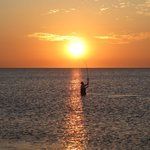 LA PECHE MARITIME DE LOISIR - LA TRUITE PELUSSINOISE