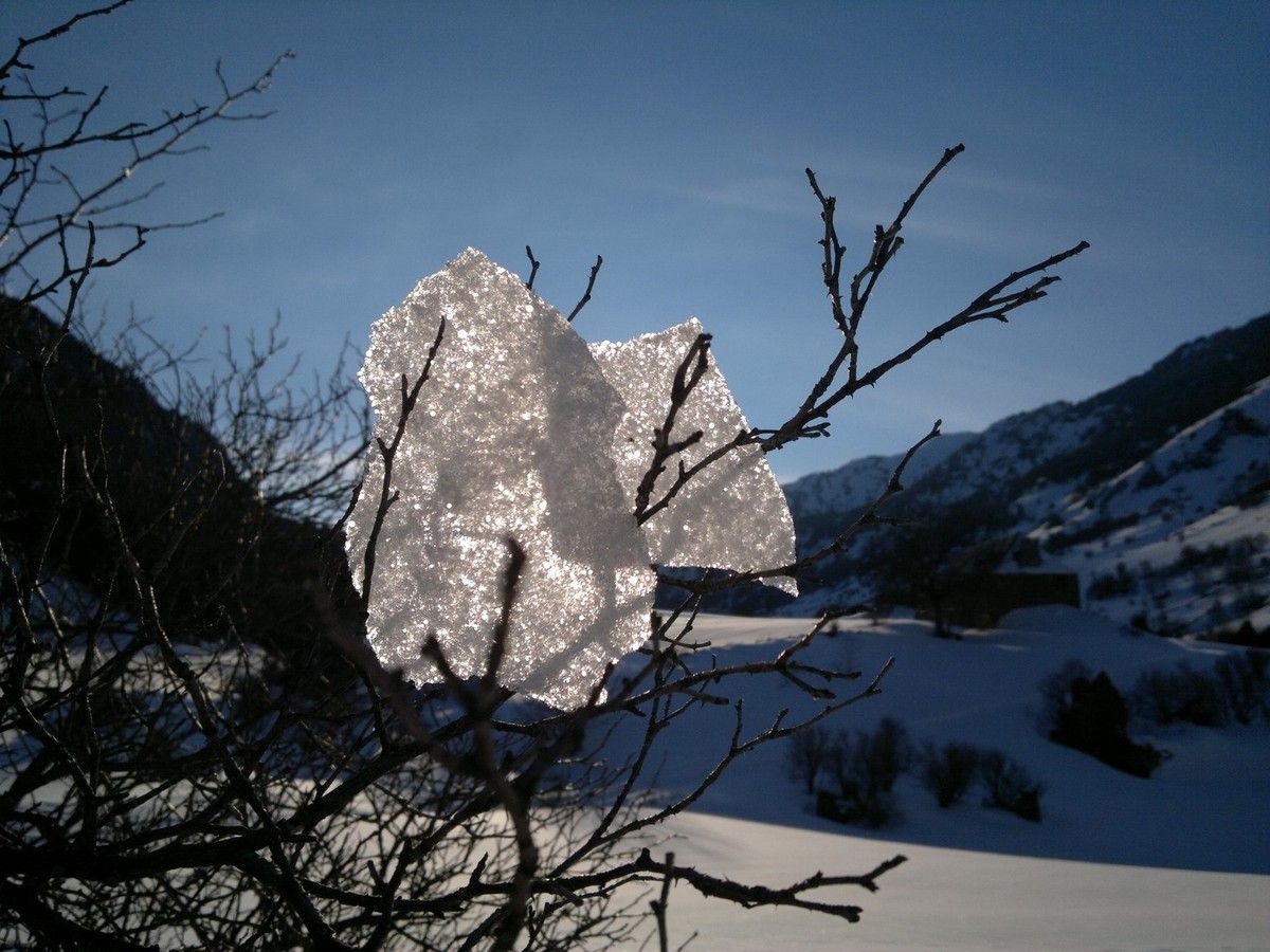 Sorties en montagne, toute l'année, tous public!! - Le blog de naturembulle