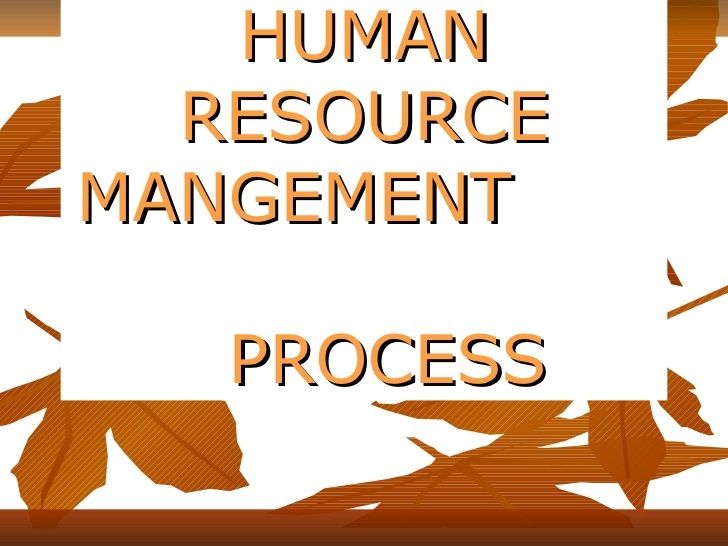 What Is The Human Resource Management Process And What Influences It what-is-the-human-resource-management-process-and-what-influences-it