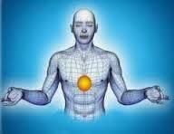 LE CENTRAGE ÉMOTIONNEL ; Le Plexus Solaire - KINÉSIOLOGUE SPÉCIALITÉ : L'ADAPTOGENÈSE