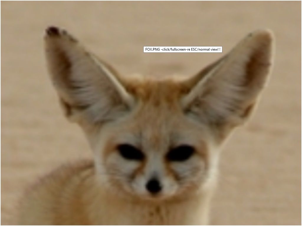 The Web Fullscreen API throw an images viewer sample - Visual Foxpro codes