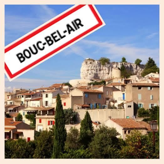 Affichage libre ? - Elus Citoyens de Bouc Bel Air