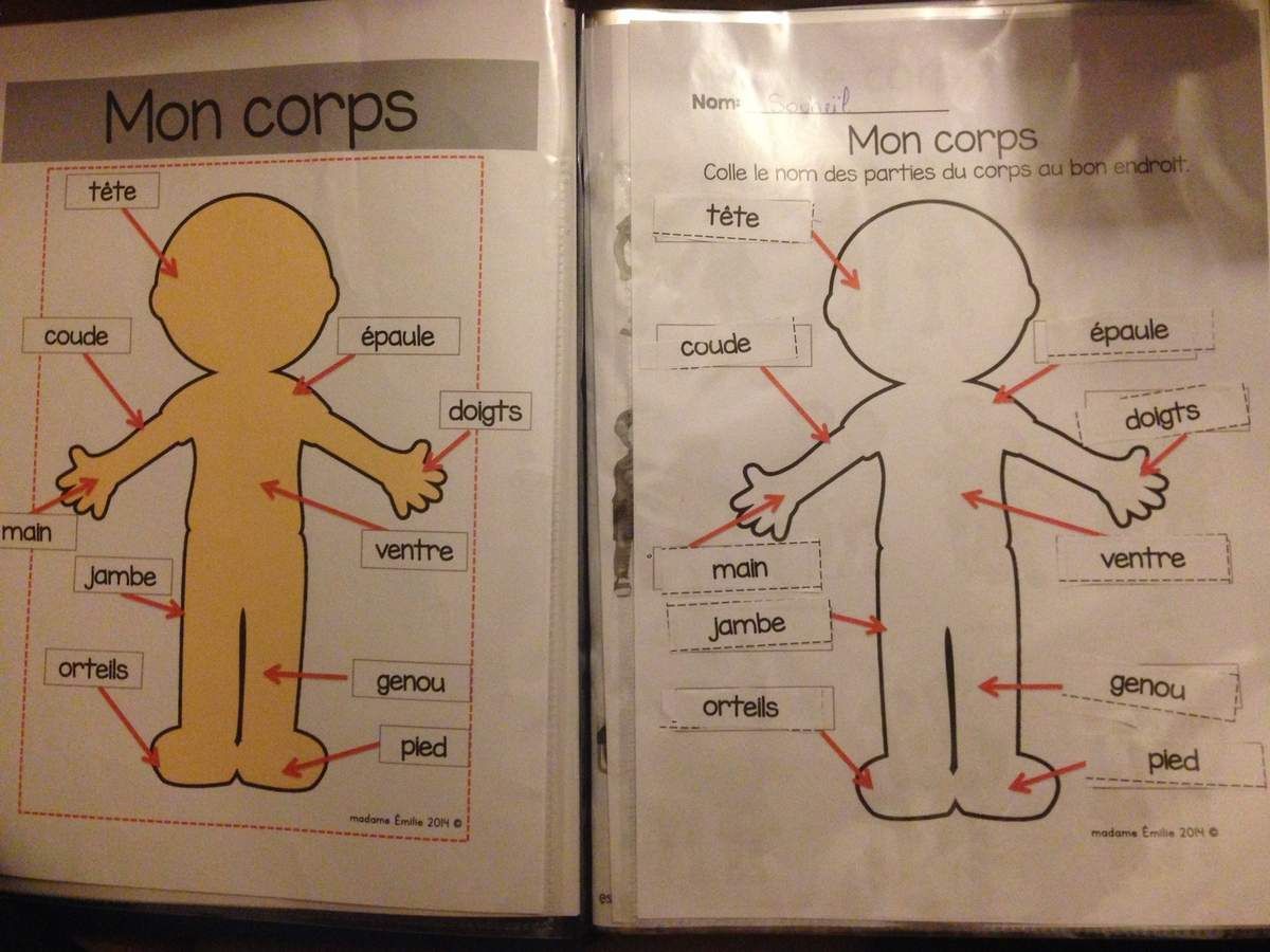 La découverte du monde _ Mon corps - Madrassatouna