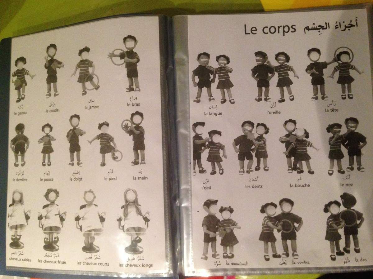 La découverte du monde _ Mon corps - Madrassatouna