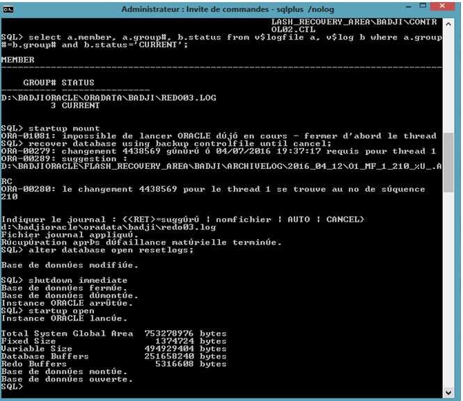 Base de données oracle 11gR2 inaccessible: erreur ORA-00600 kcratr_nab_less_than_odr ...