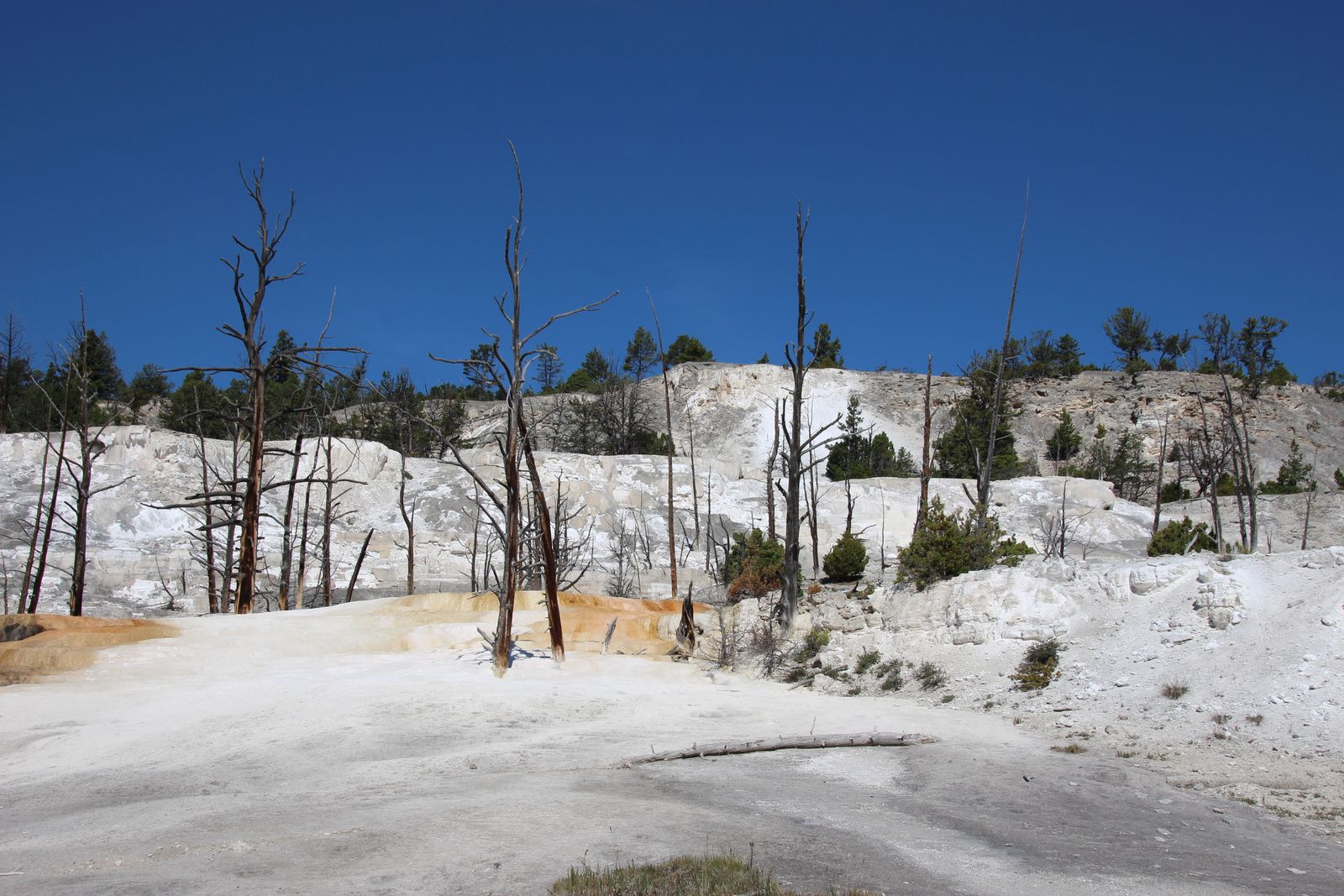 Yellowstone National Park - Les expériences de Tonksounette