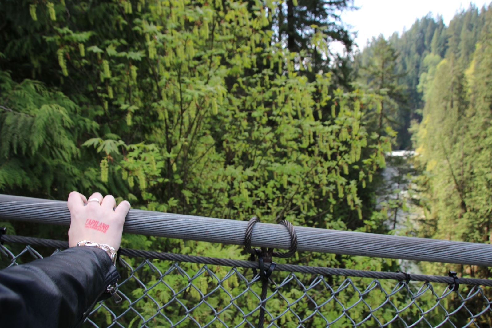 Capilano Suspension Bridge Park, Vancouver - Les expériences de Tonksounette