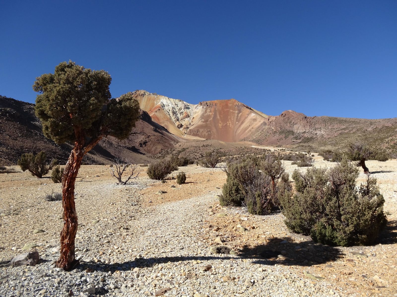 Volcan TUNUPA - Vent de face