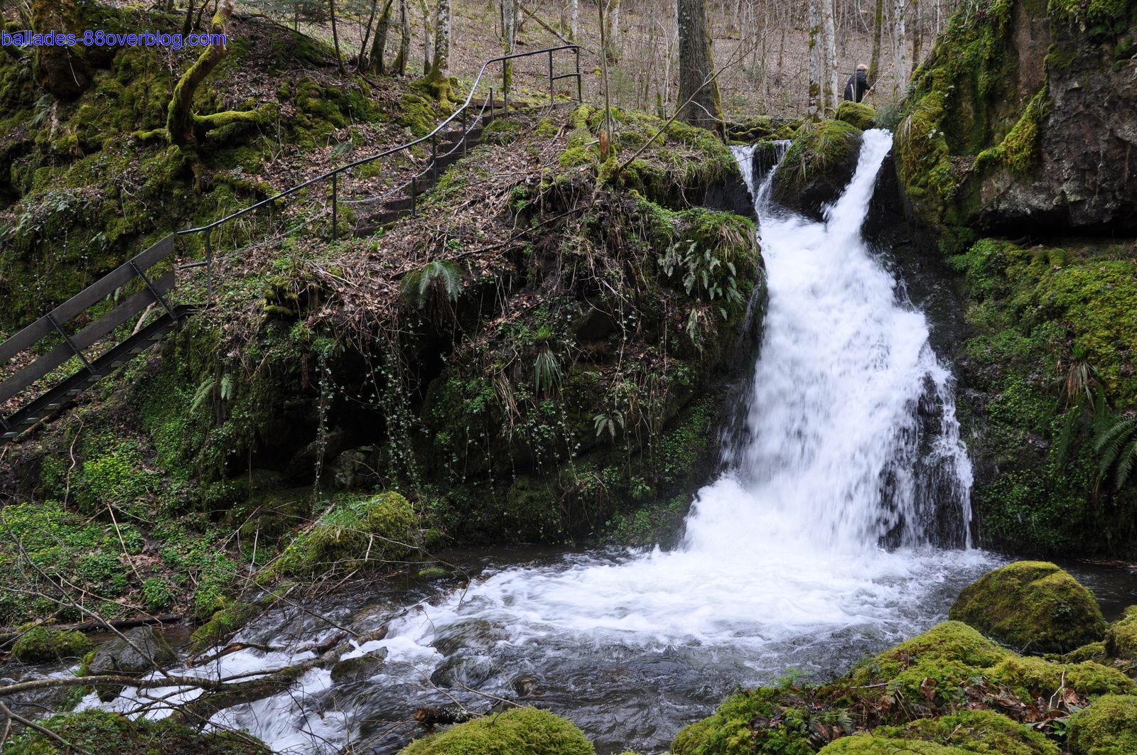 Sentier des quatre collines à Moosch - balades-88.overblog.com