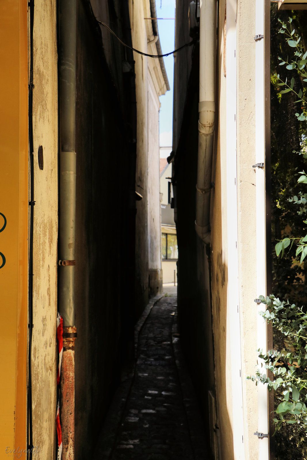 Dans les Ruelles.. - La Seine, la Seine... Mantes-la-Jolie, et Moi...
