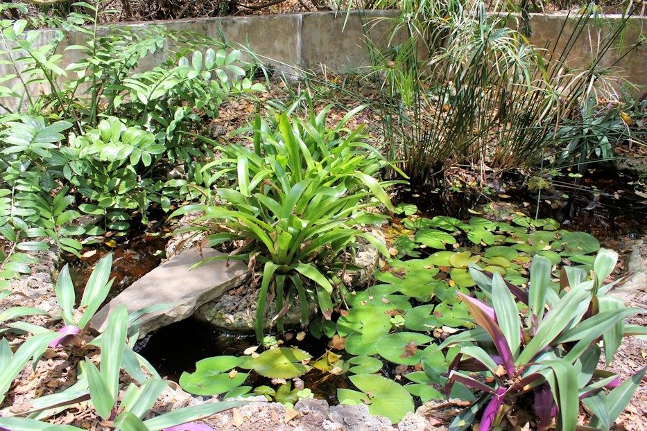 Bio Ken Snake Farm, Watamu