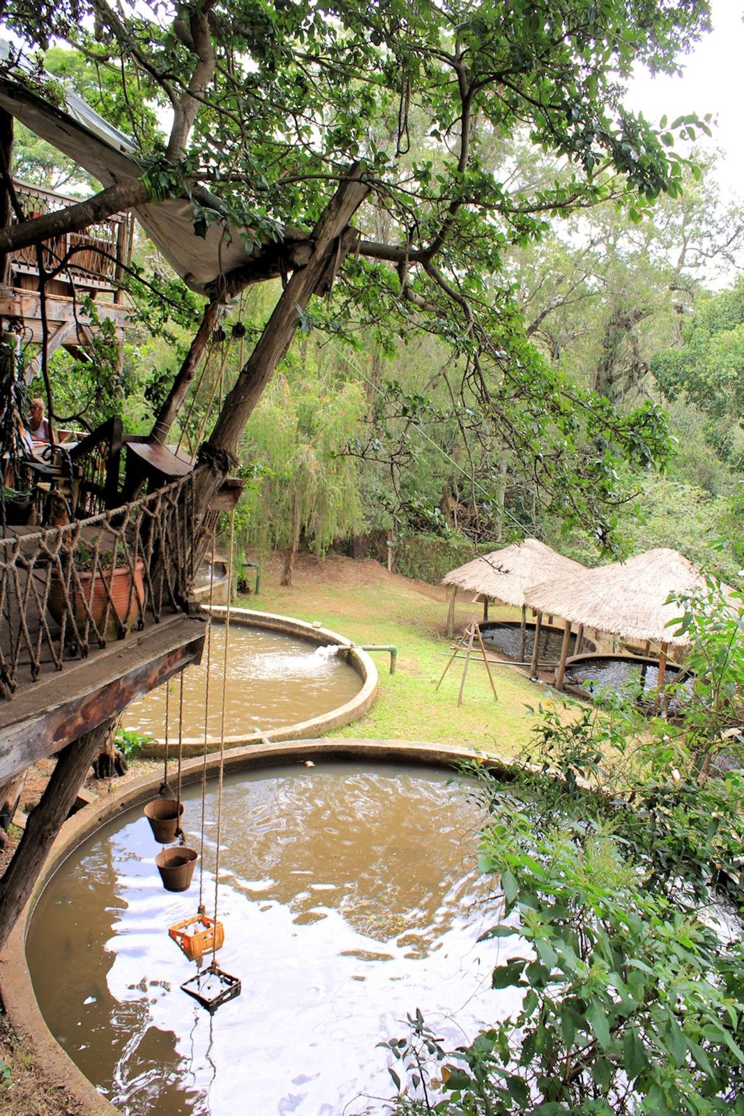 Trout Tree Restaurant