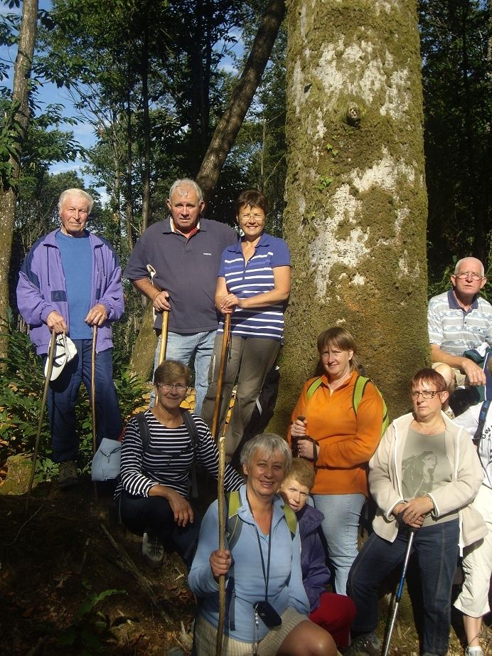 Autour du château des Aulnays à Gomené - Les marcheurs de Ménéac