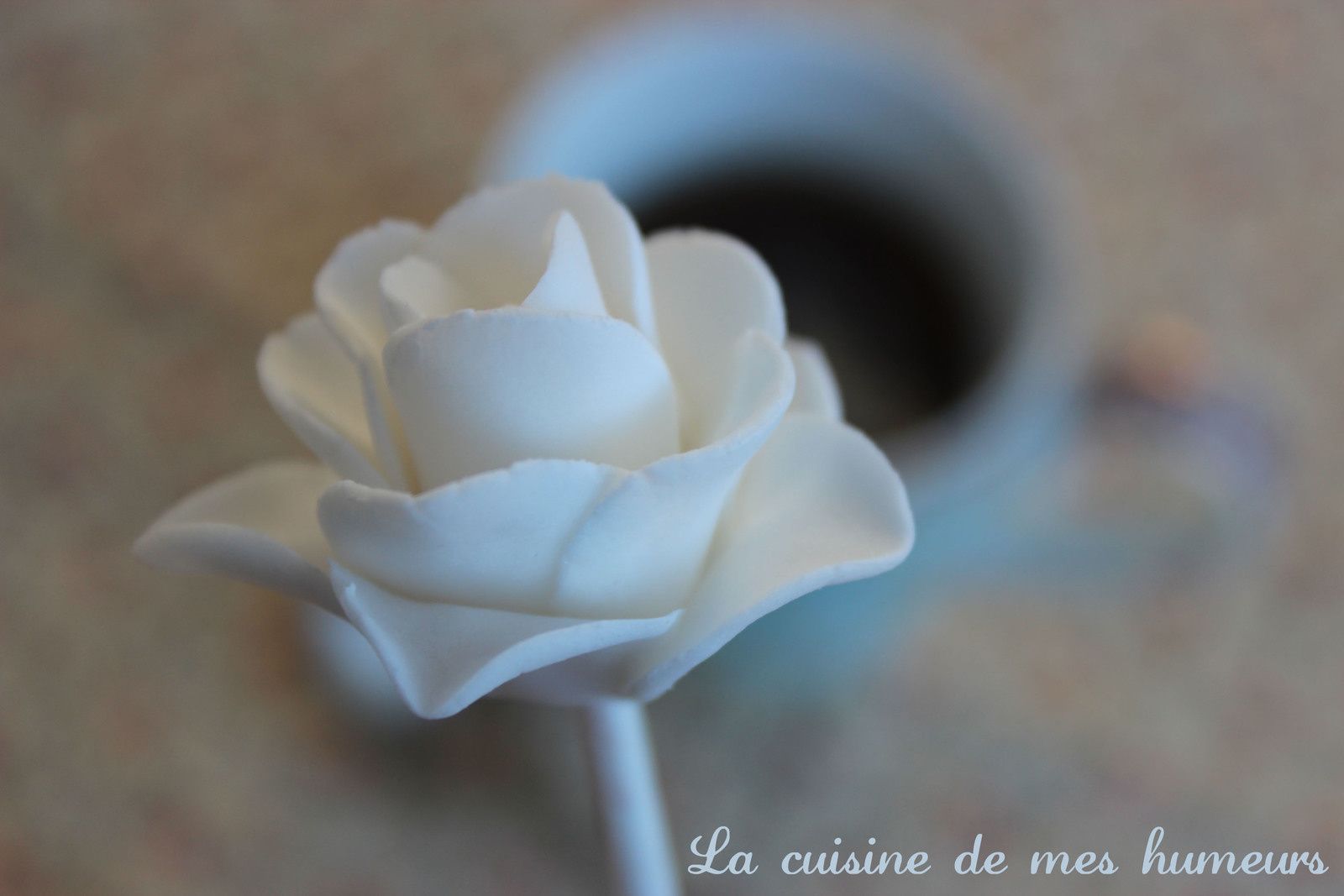 Rose en pâte à sucre: Premiers pas - La cuisine de mes humeurs!