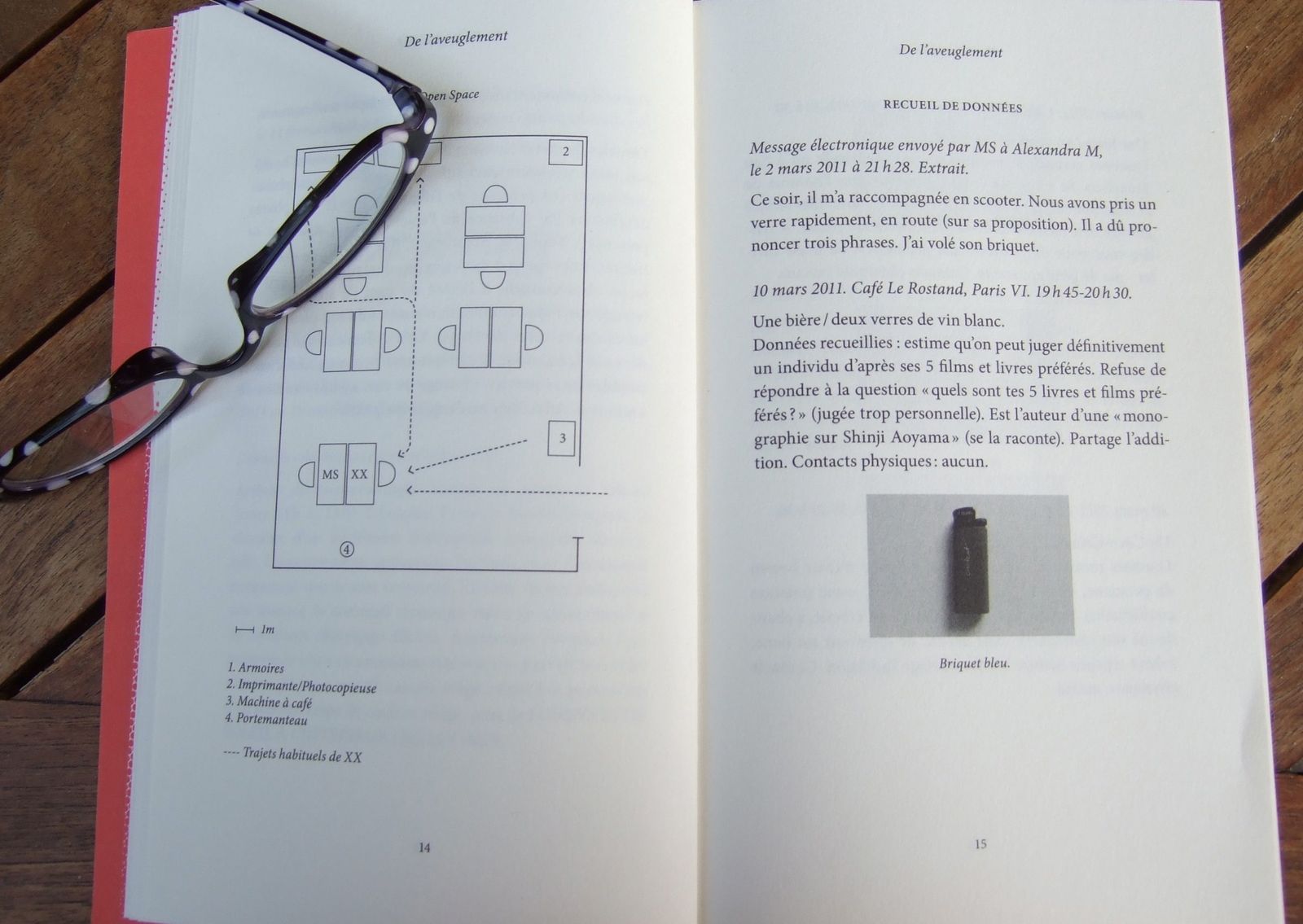 Monica Sabolo : retour sur un OLNI - Les Vendangeurs littéraires