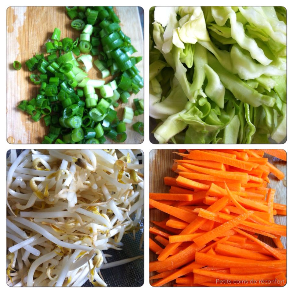 Mine frit mauricien (nouilles sautées) - Petits coins de réconfort