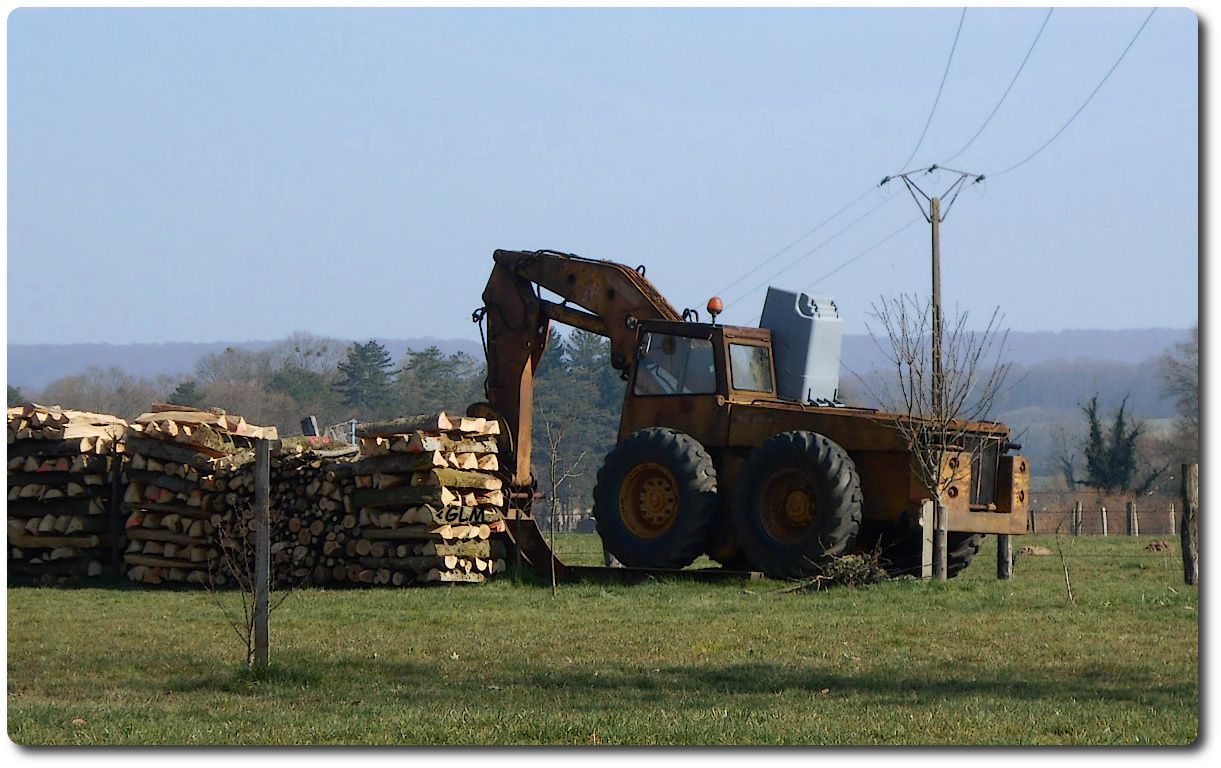 Baumaschinenbilder.de - Forum | Bagger allgemein | Pingon 14C