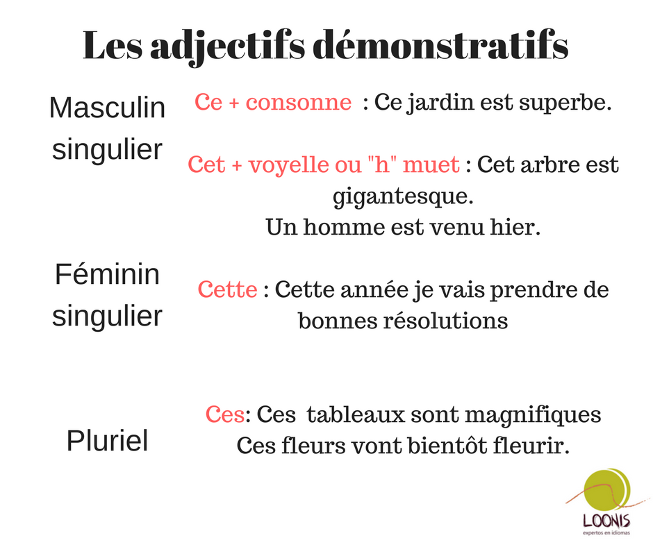 Les adjectifs démonstratifs - APRENDER FRANCÉS GRATIS - CURSOS DE ...