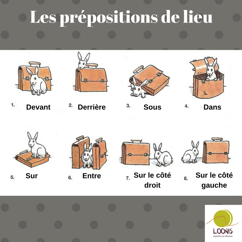 Les prépositions de lieu - APRENDER FRANCÉS GRATIS - CURSOS DE FRANCÉS ...