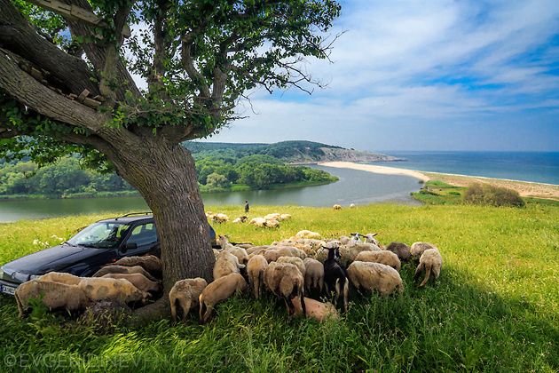 Le parc naturel de Strandja - vacances-sinemorets-bulgarie-overblog.com