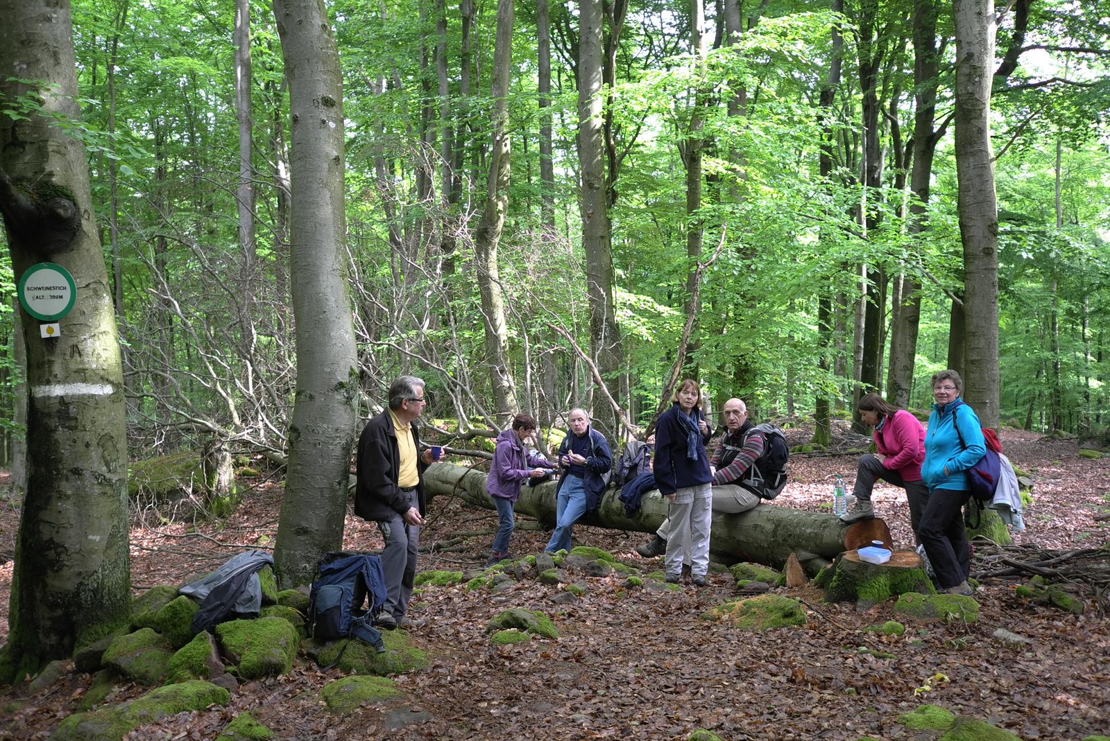 ANNEXES de REIPERTSWILLER - randosenfamille1.overblog.com