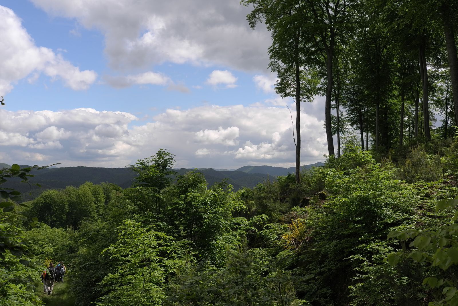 ANNEXES de REIPERTSWILLER - randosenfamille1.overblog.com