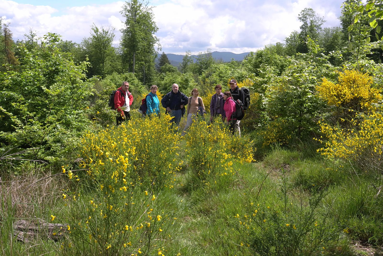 ANNEXES de REIPERTSWILLER - randosenfamille1.overblog.com