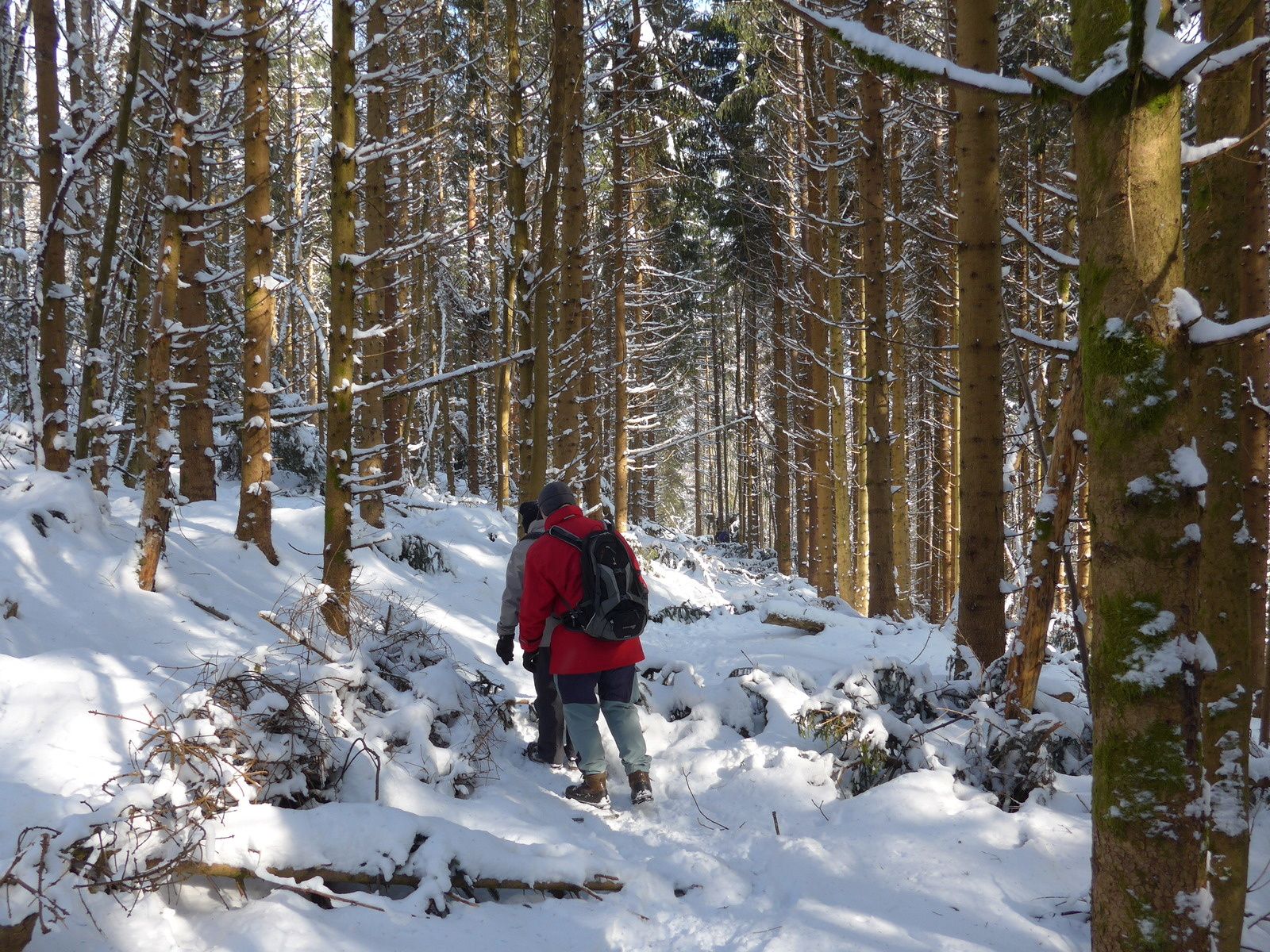 Autour du rocher du NEUNTELSTEIN - randosenfamille1.overblog.com