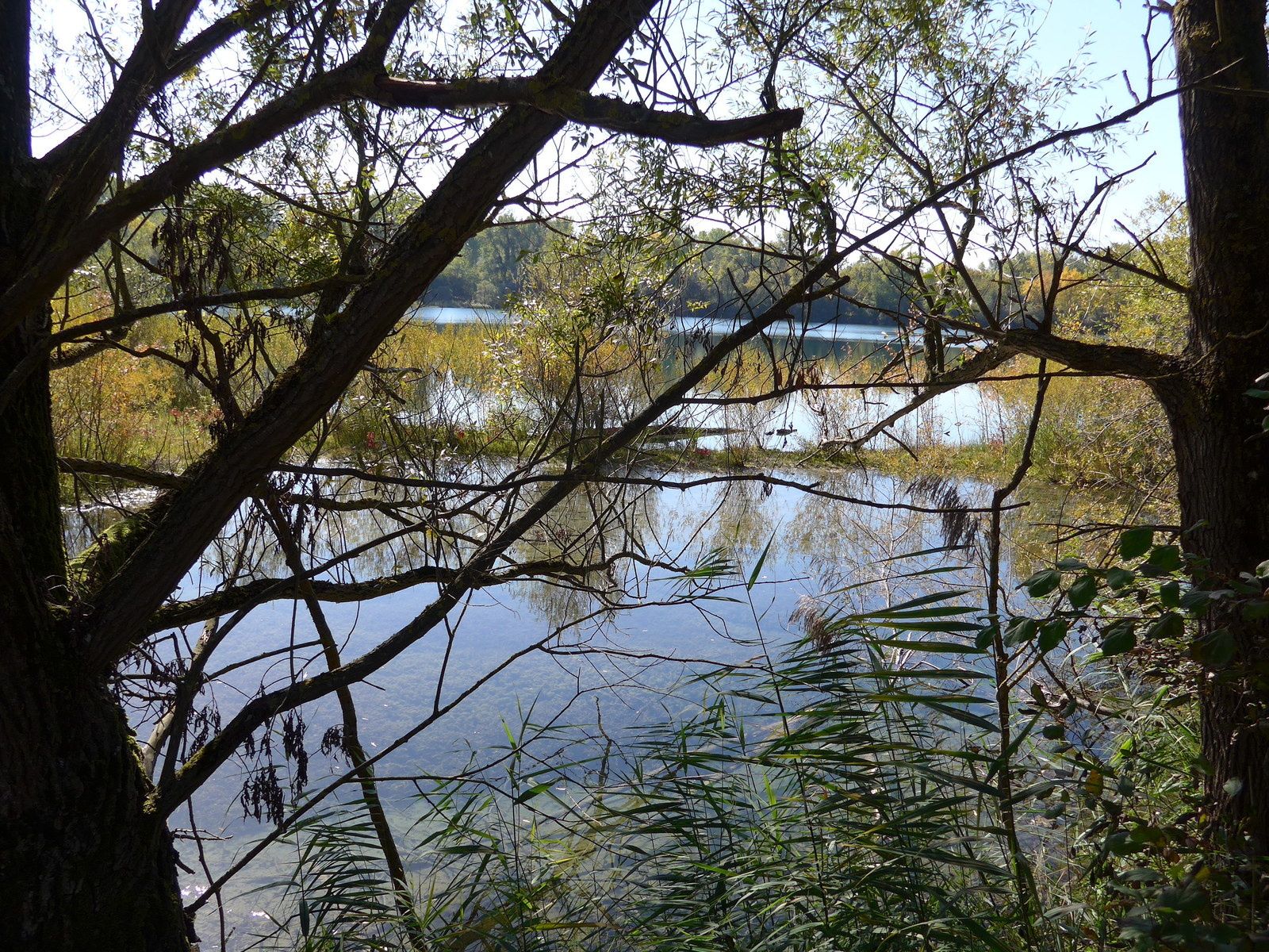 De FORT LOUIS, en longeant le Rhin - randosenfamille1.overblog.com