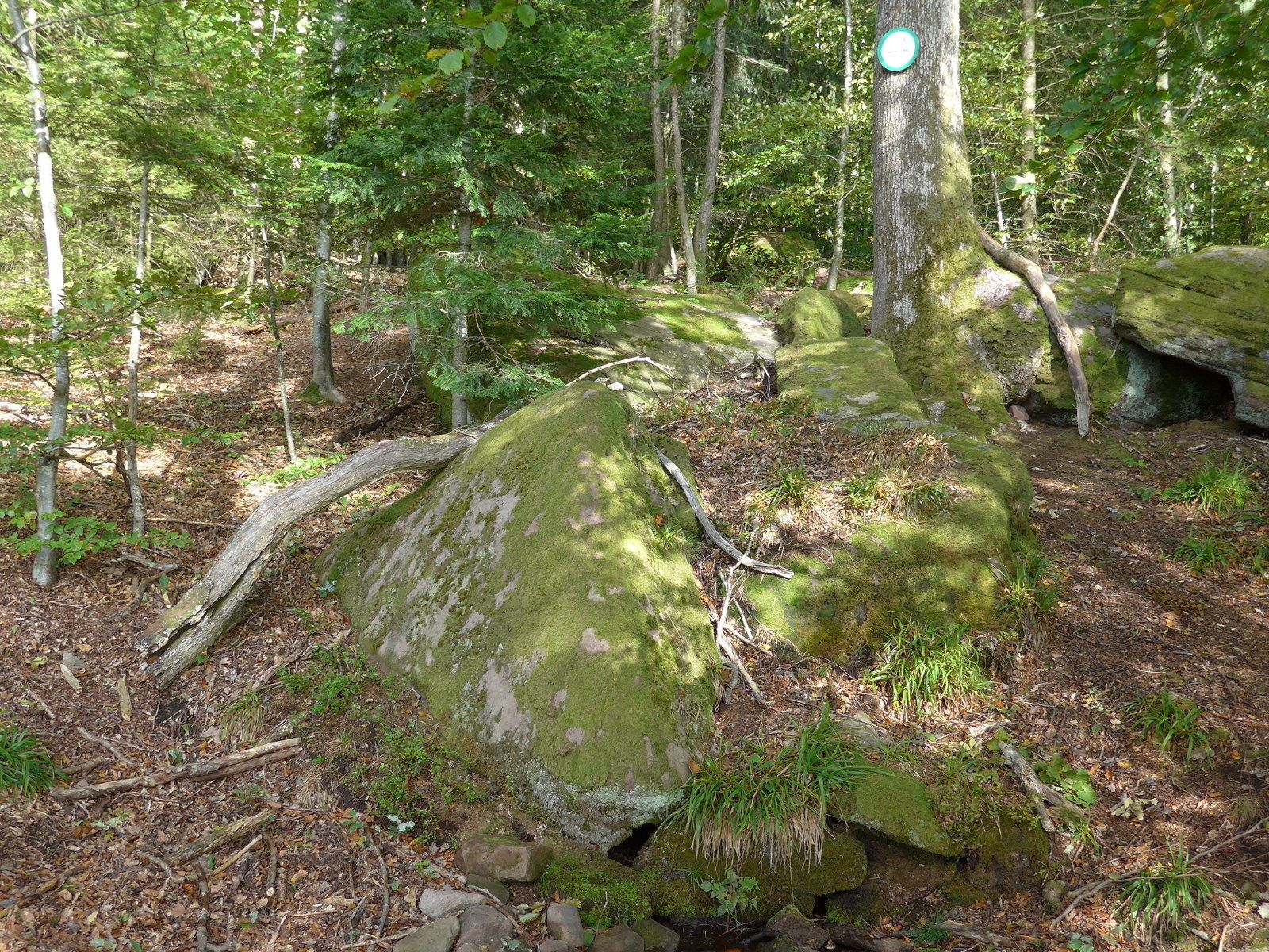 la tour du BROTSCH - randosenfamille1.overblog.com