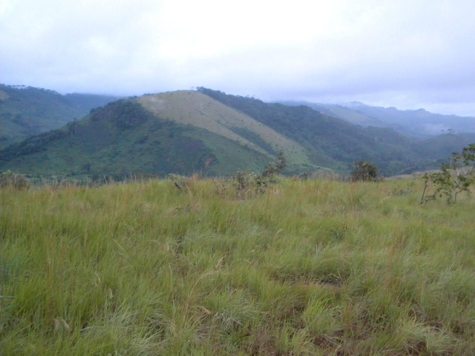 Sur les collines de Dolisie - angiesylvainaucongo.overblog.com