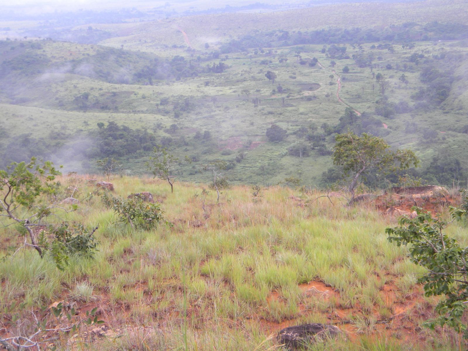 Sur les collines de Dolisie - angiesylvainaucongo.overblog.com