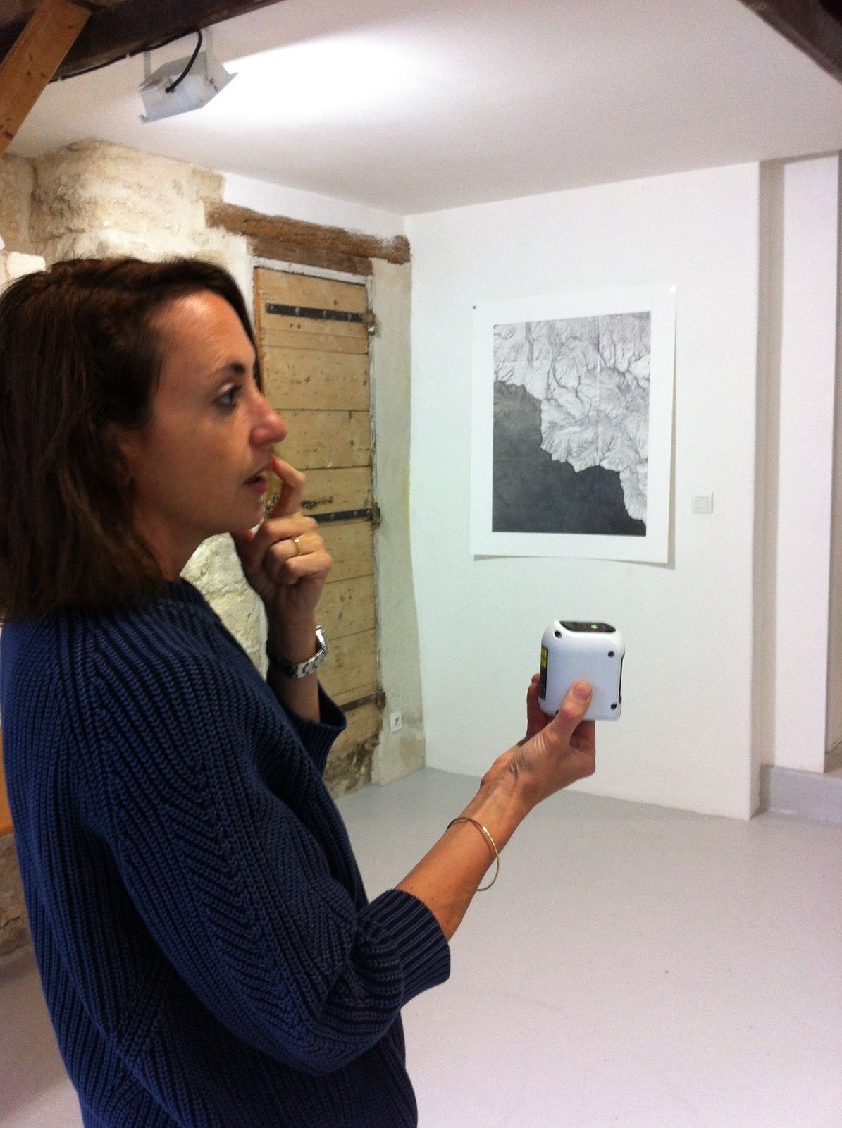 Allison Blumenthal, artiste contemporaine - Aller à l'essentiel