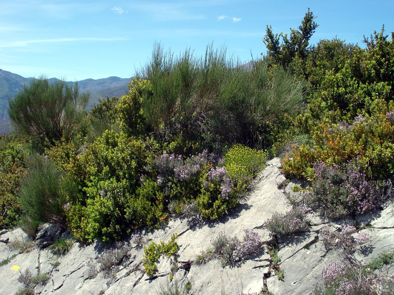 Le grand Palier - Gorges du Cians - 27/05/2013 - Voyageuse de l'Entretemps