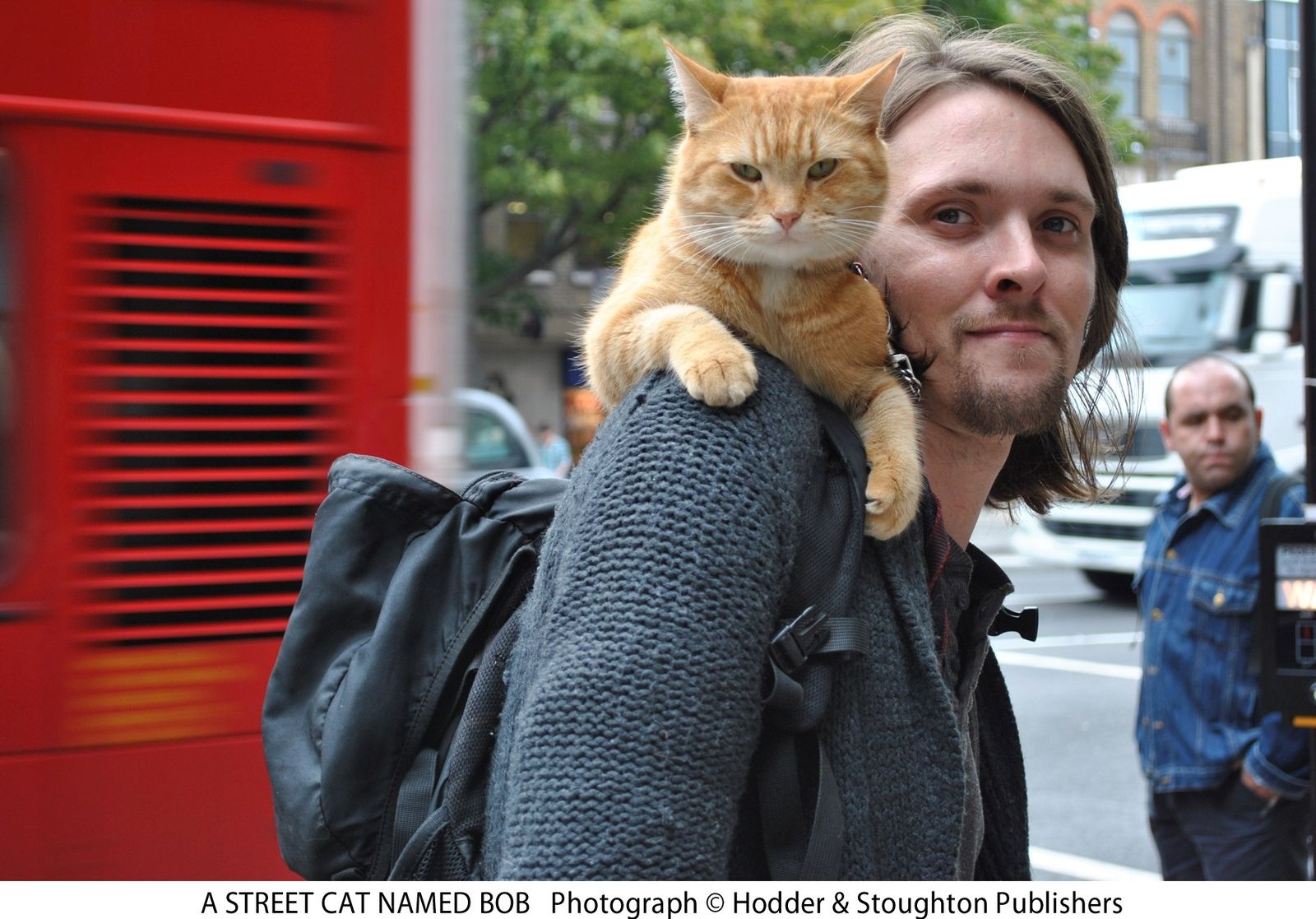 A street cat named Bob - Une Grenouille au Pays des Rosbeefs