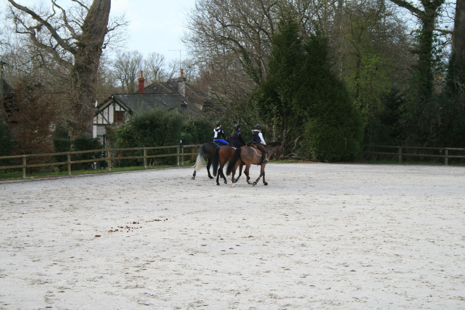 Cadez et Amandine en stage avec Patrice Delaveau (si ça c’est pas la ...