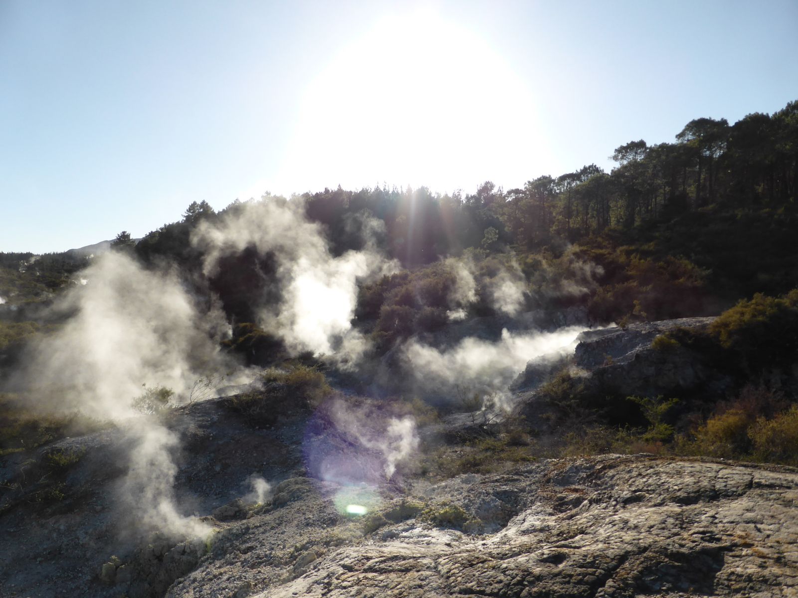 Rotorua (NZ) - lagrandeescapade.over-blog.com