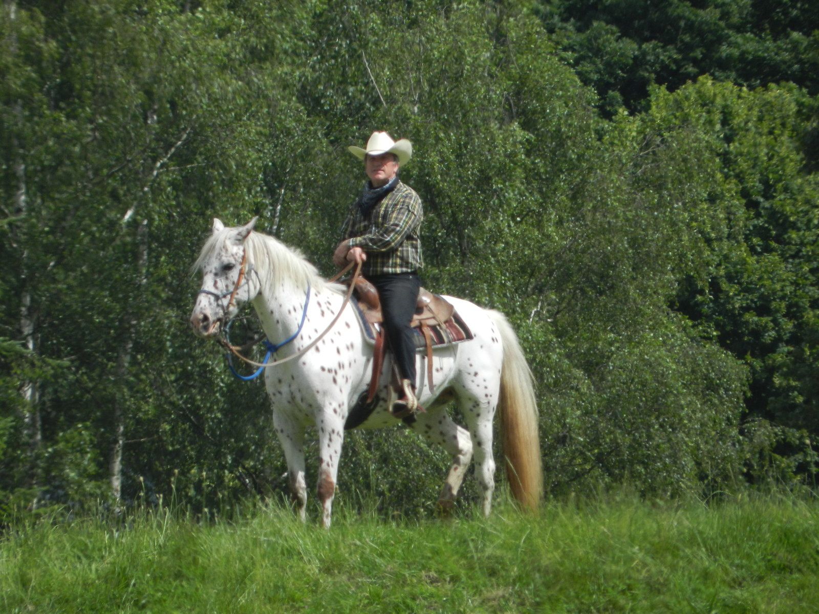 ALBUM-WESTERN A SAINT CYR L'ECOLE - Danny'Guns et Cheyenne