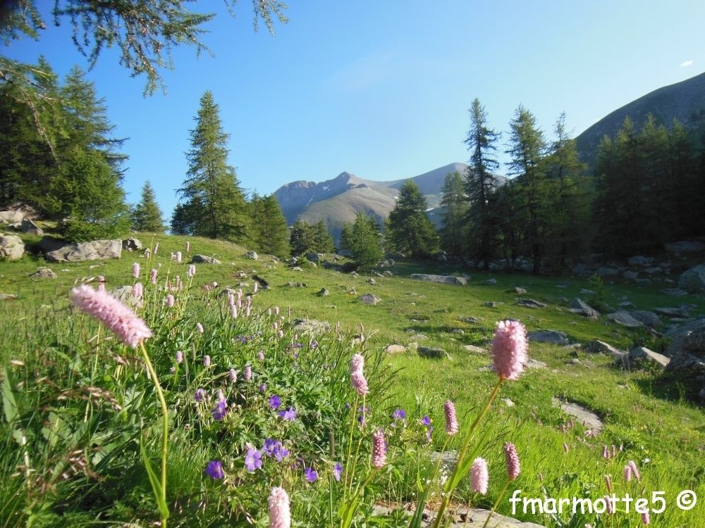 Mont Pelat 3050 mètres, randonnée dans le Mercantour. - Le blog de ...