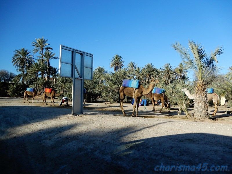 Marrakech (Maroc en camping-car) - Le blog de charisma45