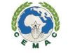 CEMAC : Réunion du Collège de Surveillance Multilatérale - centrafrique ...