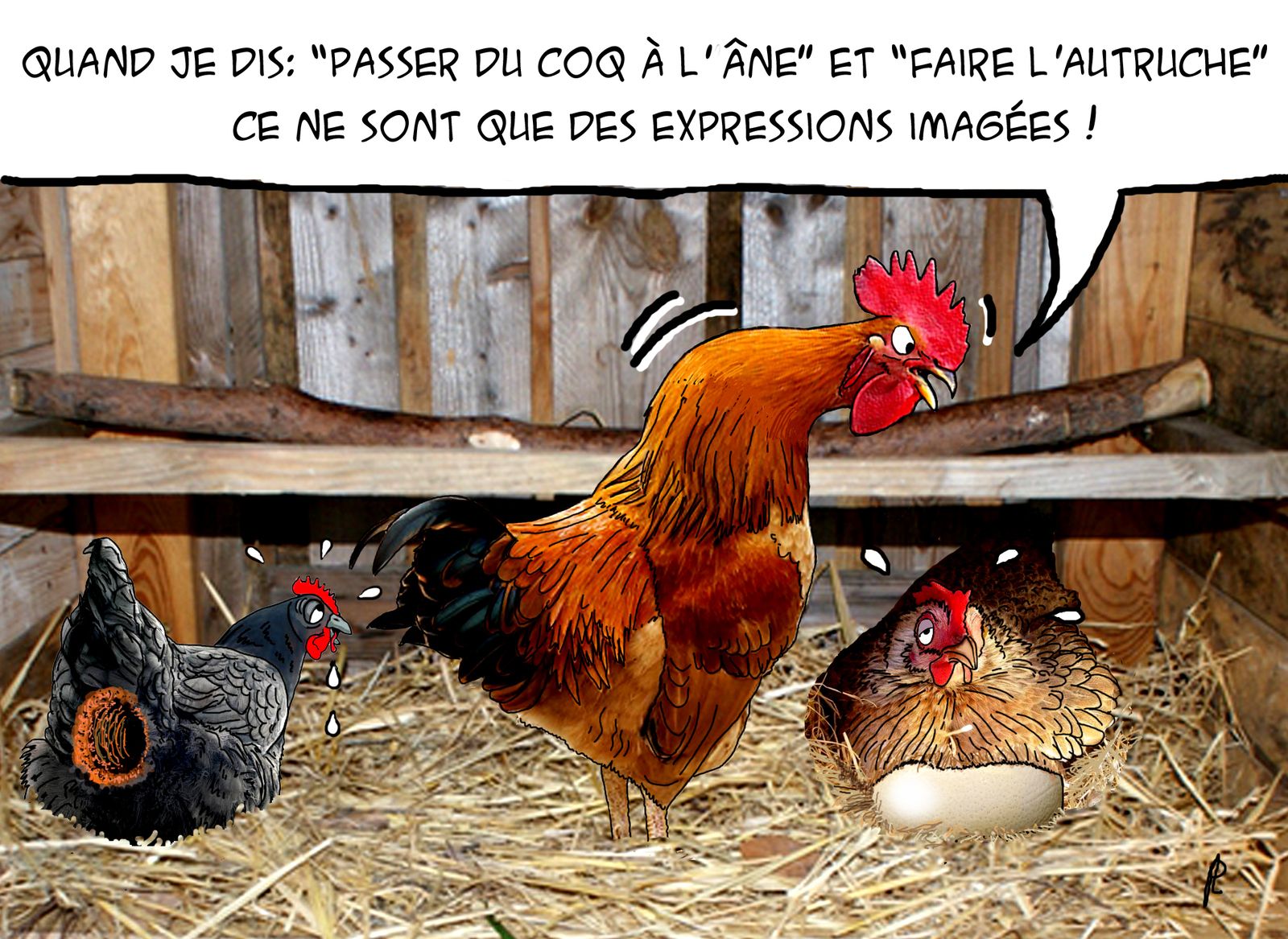 dessins d'humour - Betdenrire