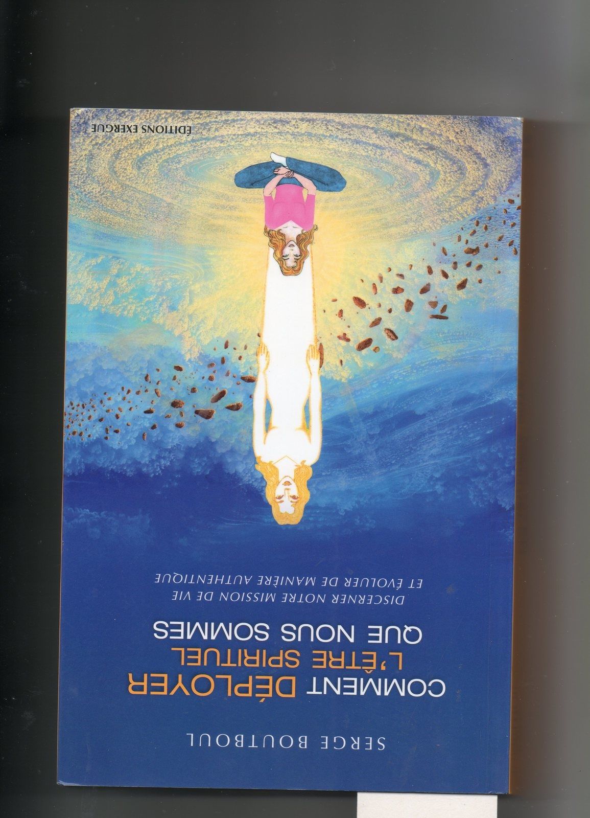 COMMENT DÉPLOYER NOTRE ETRE SPIRITUEL OU DÉCOUVRIR NOTRE MISSION DE VIE ...