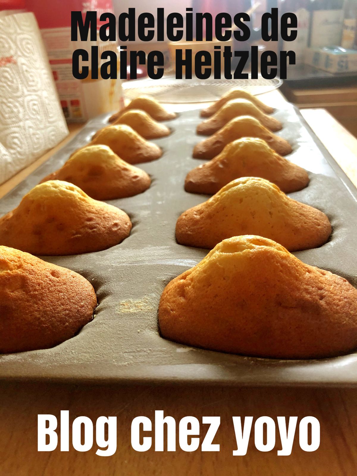 Madeleines de Claire Heitzler - Chez Yoyo Madeleines de Claire Heitzler - Chez Yoyo