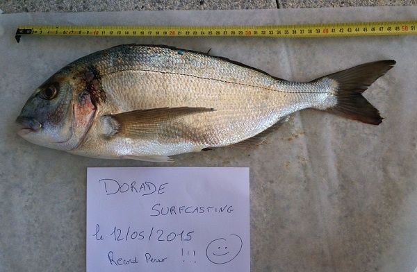 Benjamin bat son record - Dorade Surfcasting